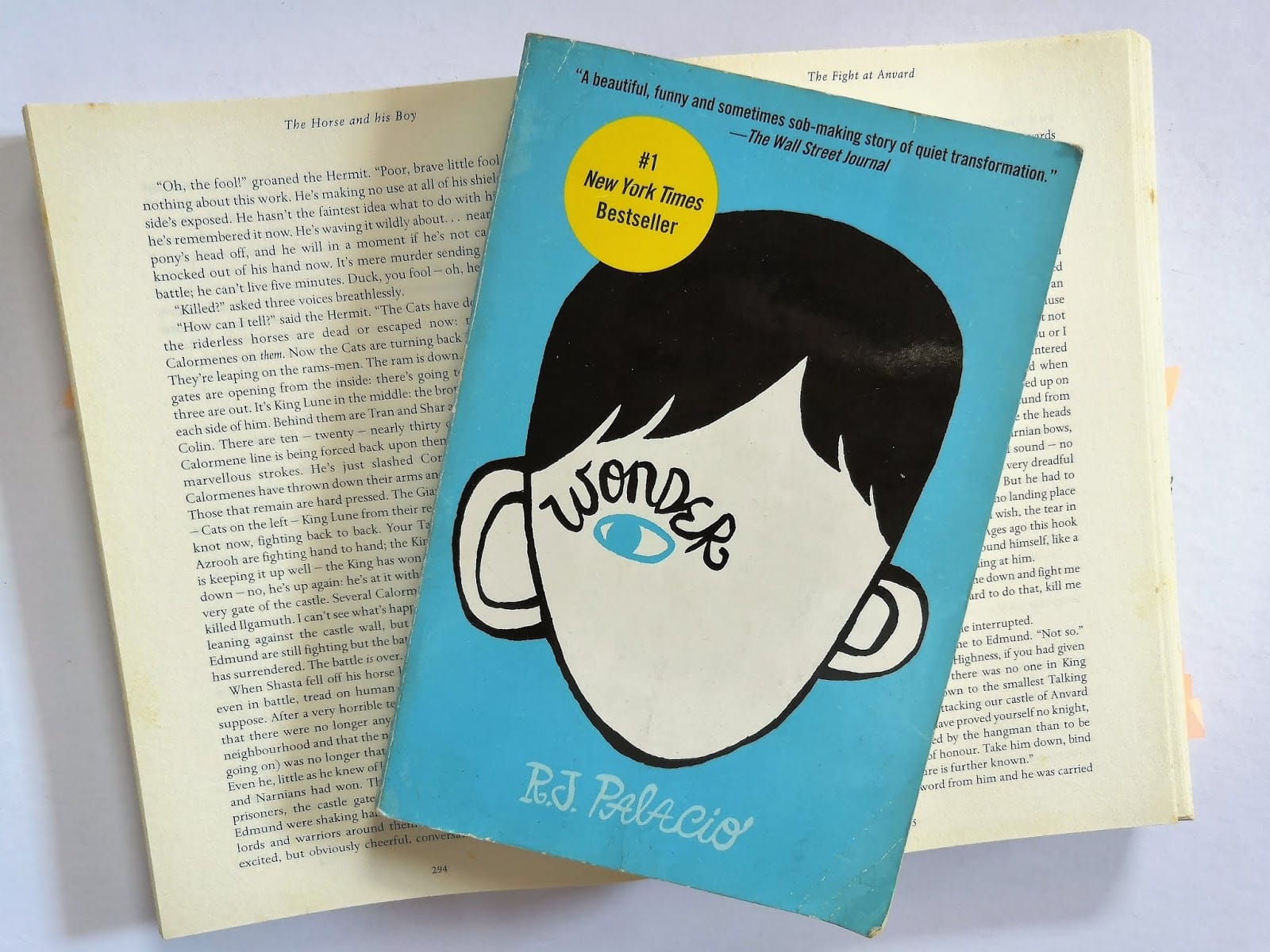 Wonder by RJ Palacio - Discussion Questions