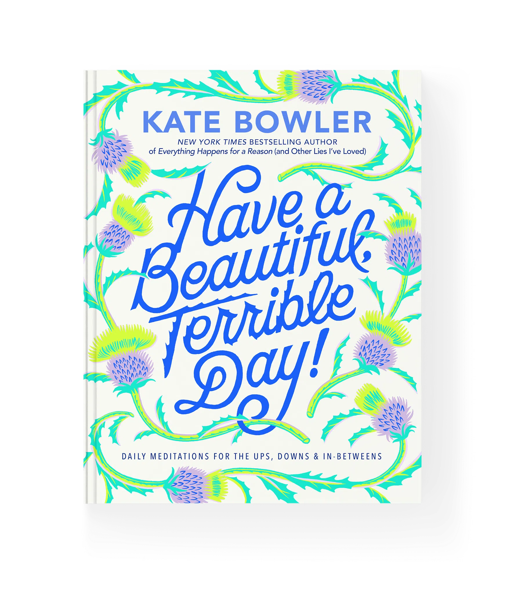 Have a Beautiful, Terrible Day!: 100 Blessings for Imperfect Days ...